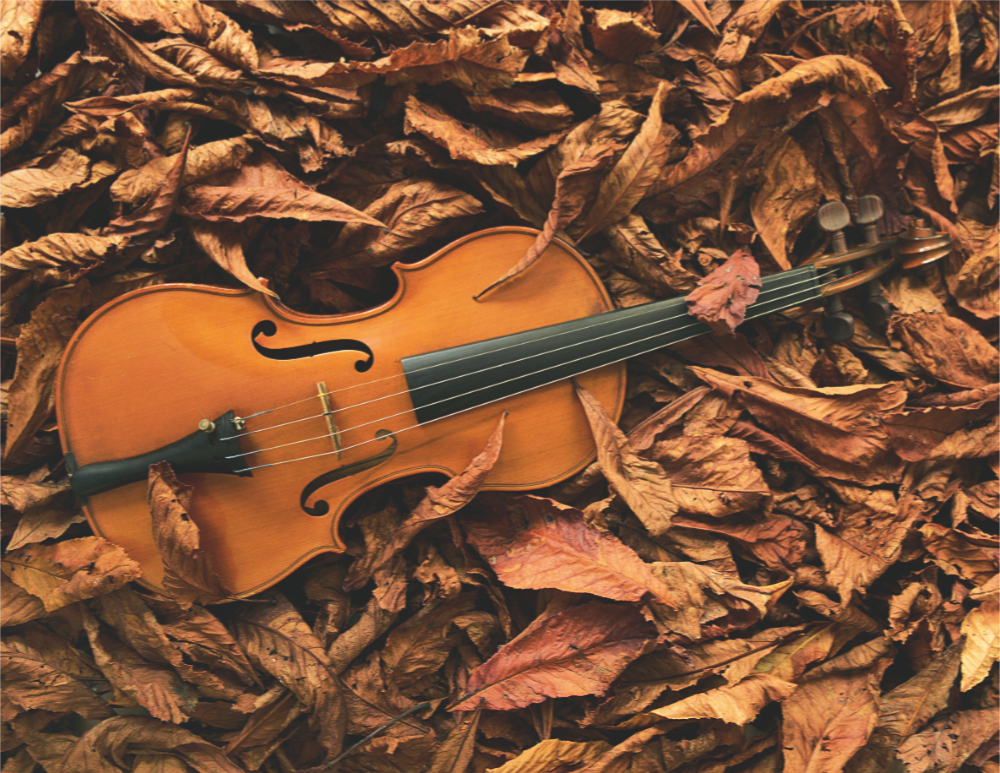 Fiddler: A Short Story – Michelle Simkins